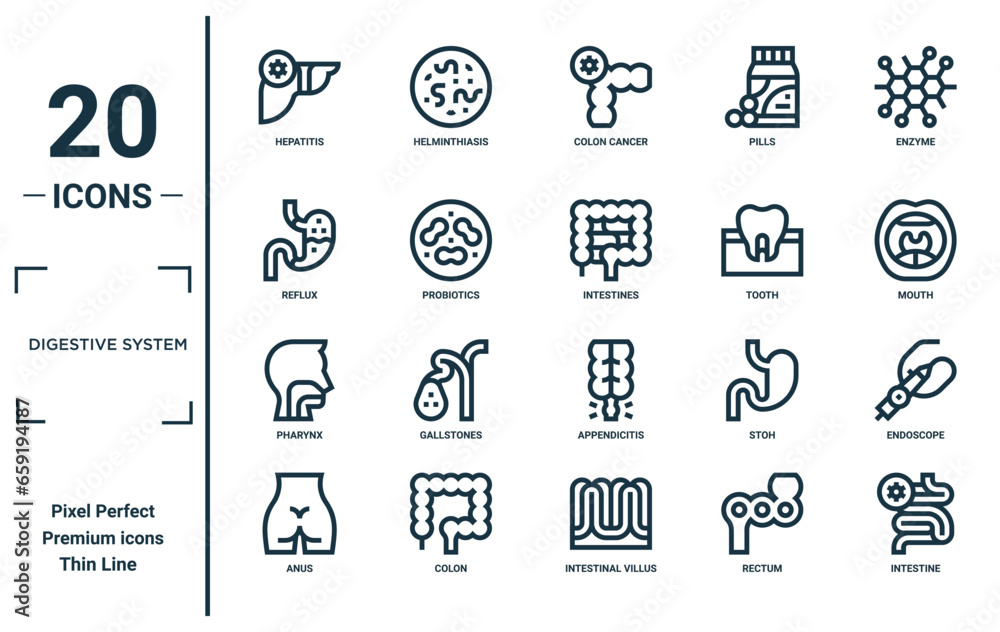 digestive system linear icon set. includes thin line hepatitis, reflux ...