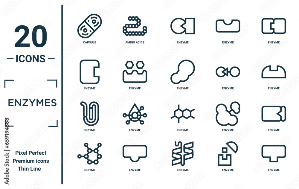 enzymes linear icon set. includes thin line capsule, enzyme, enzyme ...