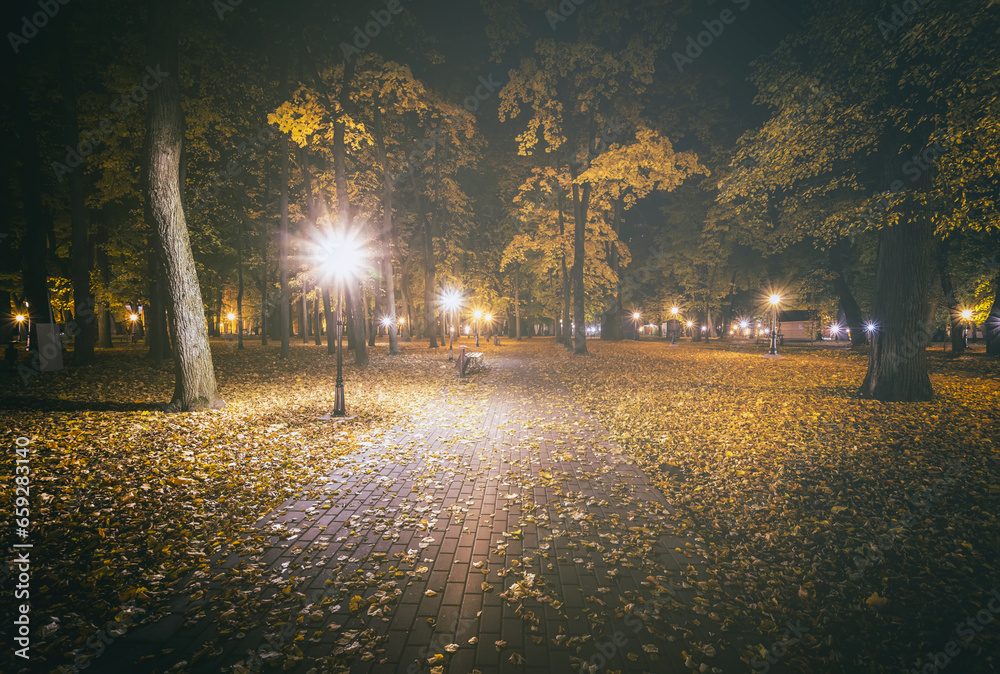 Night park in autumn with fallen yellow leaves.City night park in ...