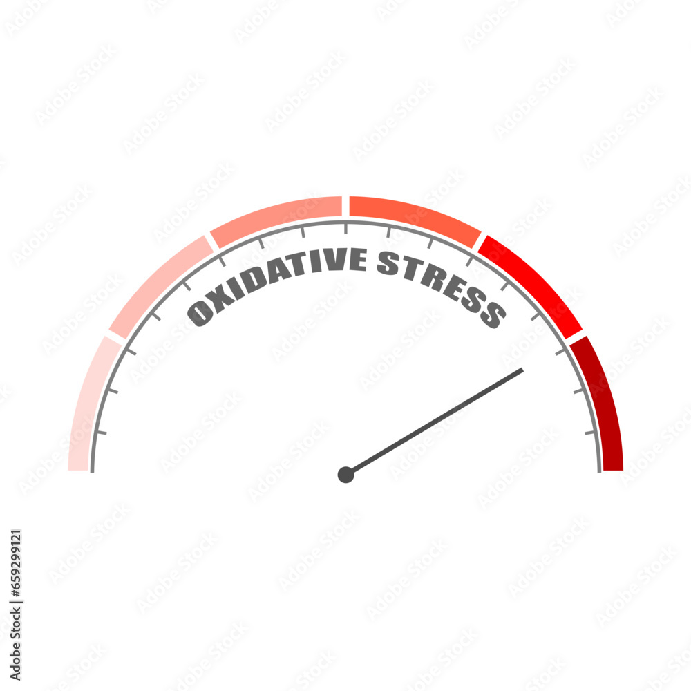 Oxidative stress value measuring device with arrow and scale. Free ...
