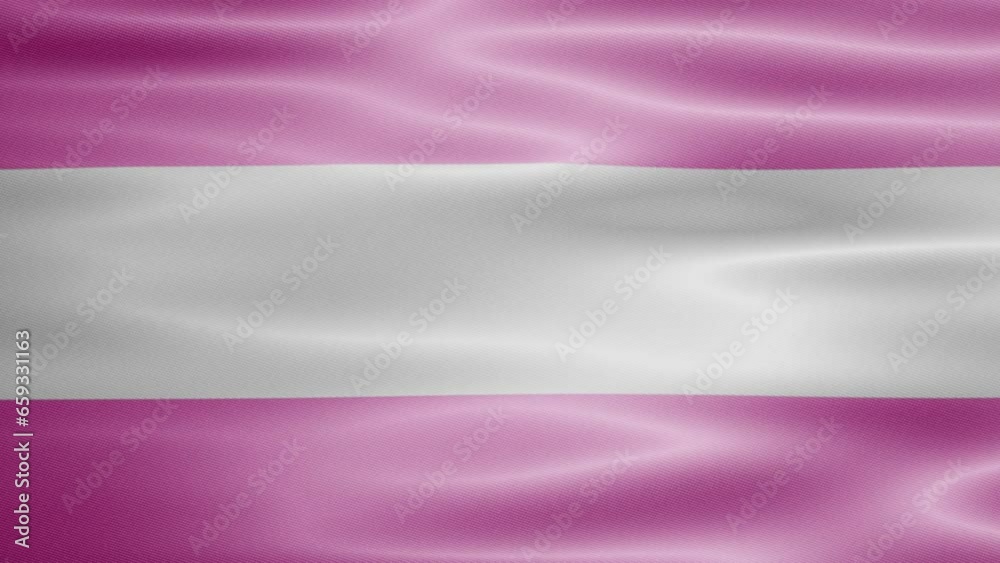 Animated waving Transgender Pride flag. Lgbtq, equality, pride week ...