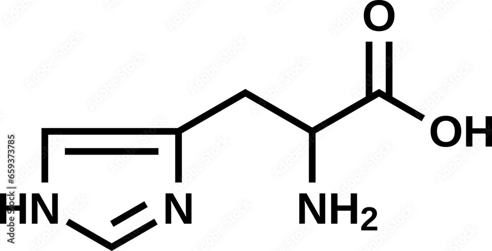 Amino acid histidine structural formula, vector illustration Stock ...