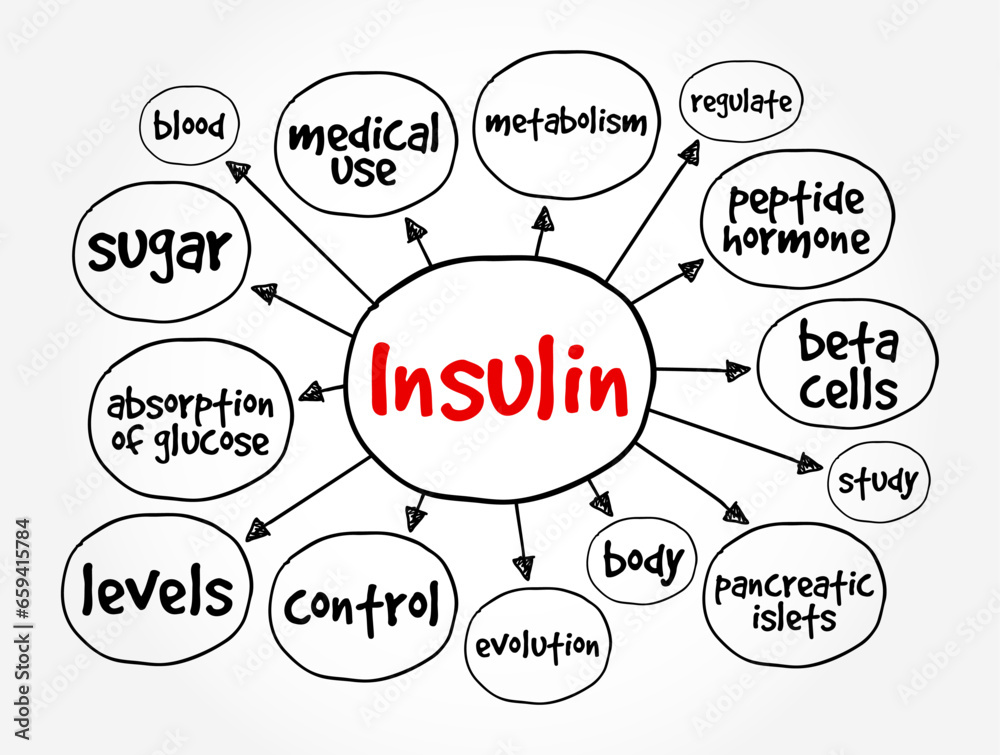 Insulin is a peptide hormone produced by beta cells of the pancreatic ...