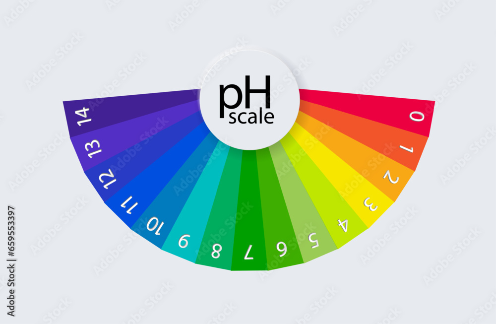 pH scale chart for acid and alkaline solutions. Acid-base balance infographic. Vector Stock ...