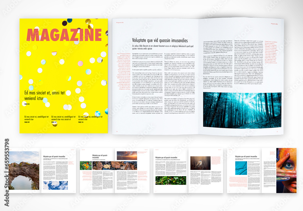 Overview Magazine Stock Template | Adobe Stock