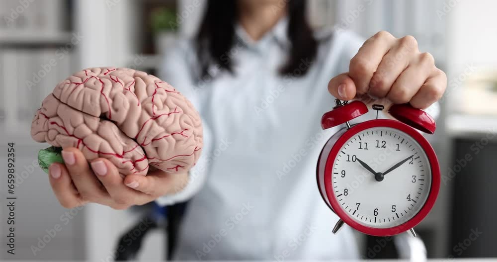 Woman holds mock up of human brain and alarm clock. Productivity hours ...