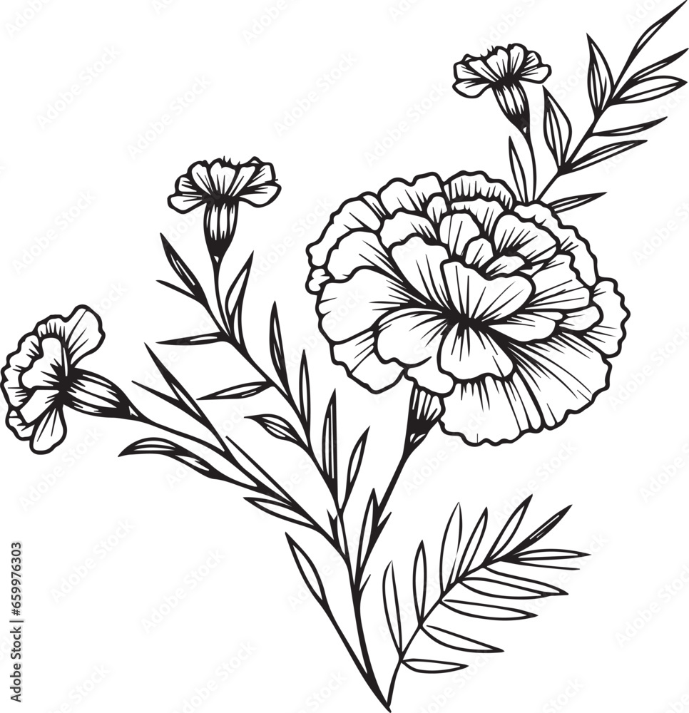 , simple marigold line drawing, marigold flower tattoo drawing ...