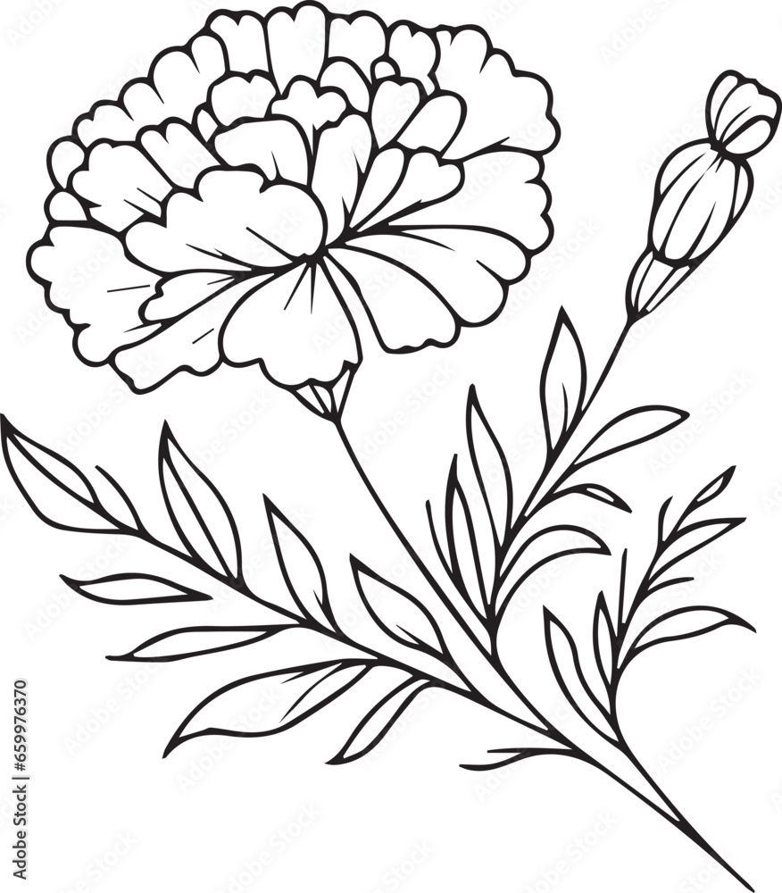 Simple marigold line drawing, marigold flower tattoo drawing ...