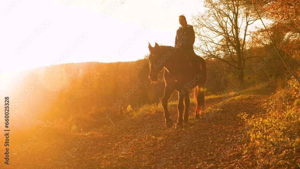 LENS FLARE: Golden autumn nature and a woman horseback riding along ...