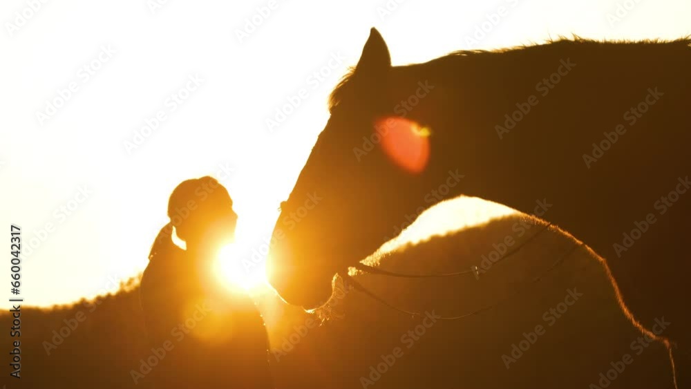 SILHOUETTE, LENS FLARE: Gentle moment between a woman and her horse at ...