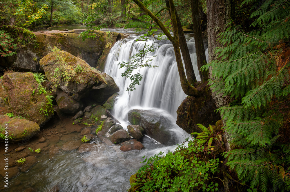 Cascading waterfall in a temperate rain forest in the Pacific Northwest ...