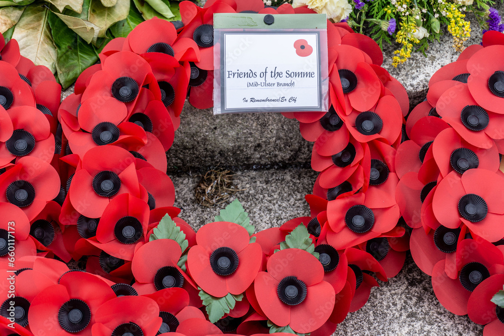 A poppy wreath laid by the Friends of the Somme, in the Irish National ...