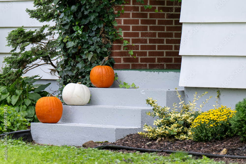 Three Halloween pumpkins, one white and two orange were on the gray ...