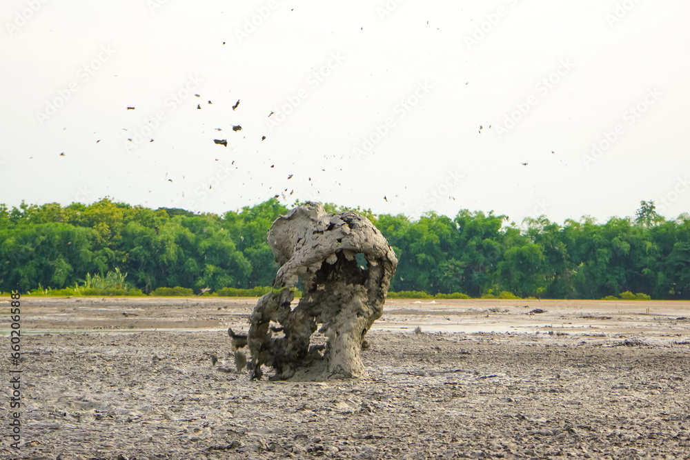A mud volcano or mud dome is a landform created by the eruption of mud ...