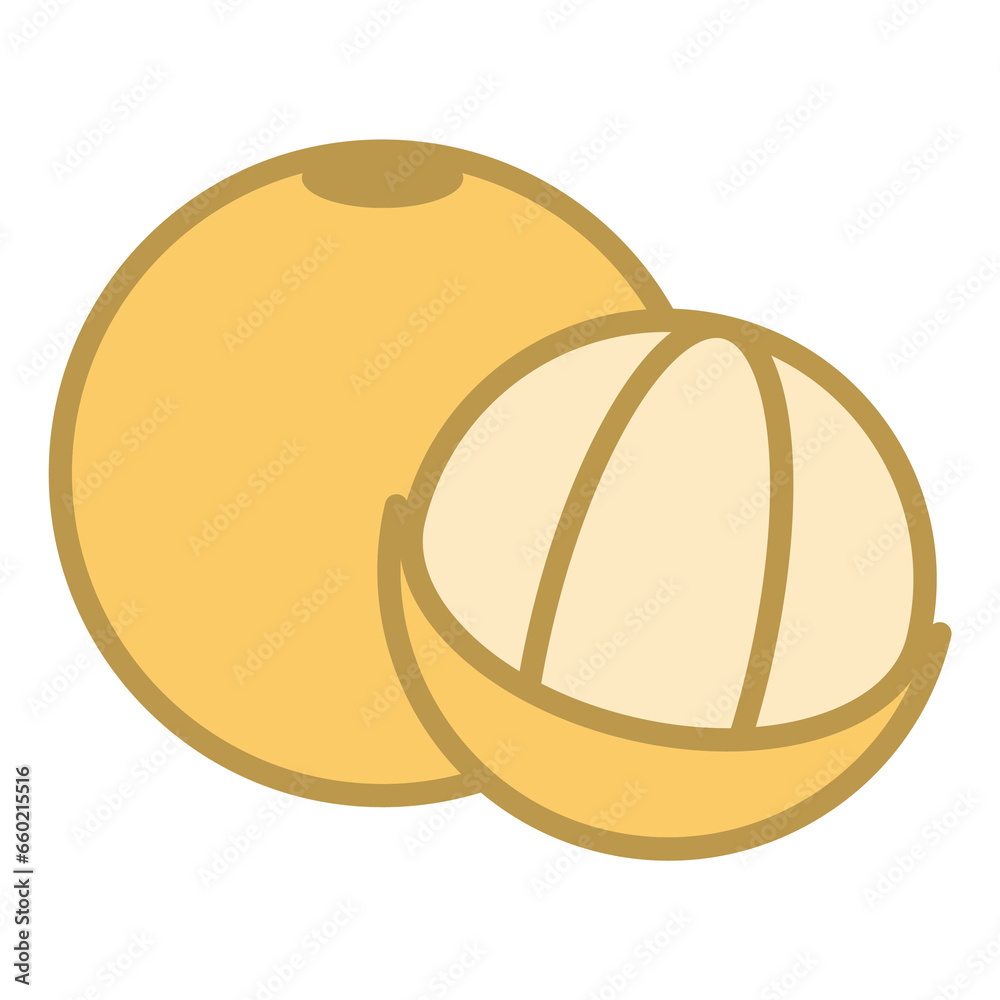 Vector illustration of Duku icon sign and symbol. colored icons for ...