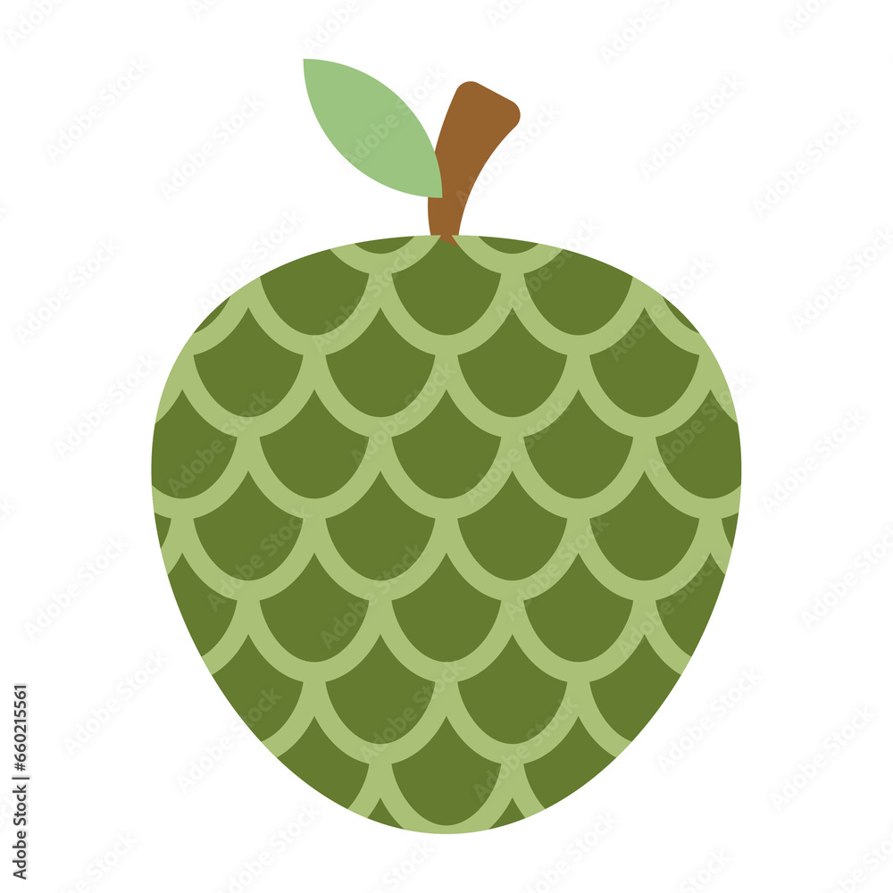Vector illustration of Sugar apple icon sign and symbol. colored icons ...