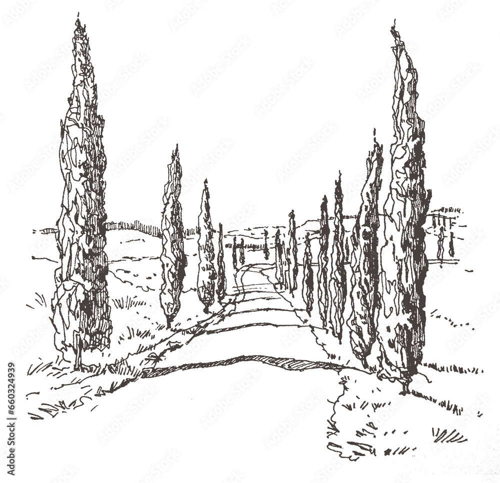 Travel sketch illustration of the road with cypress in Tuscany, Italy ...