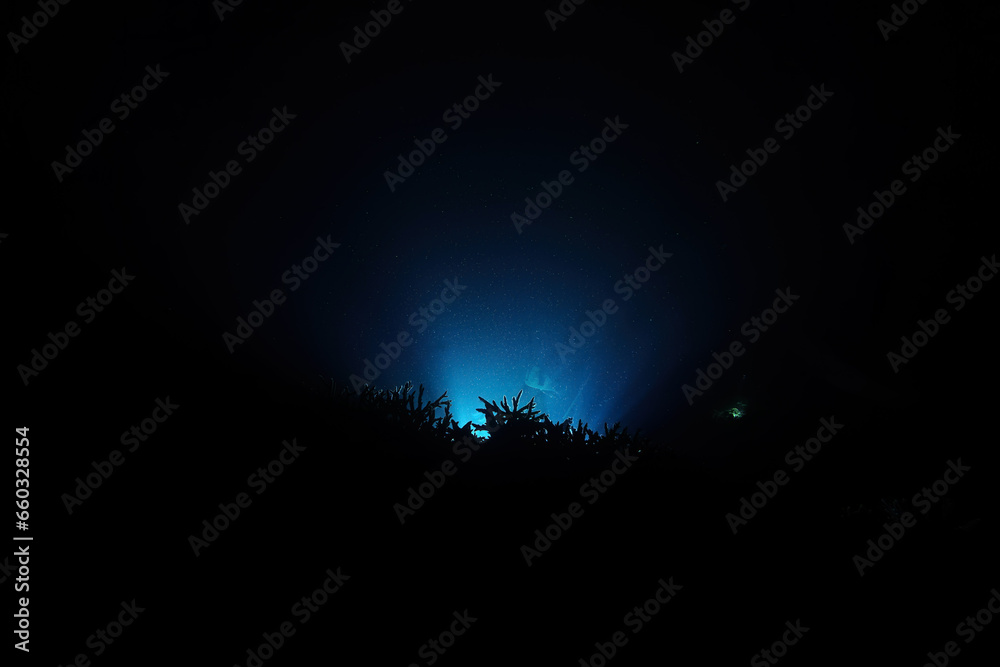 Beautiful underwater light and silhouette staghorn coral reef wallpaper ...