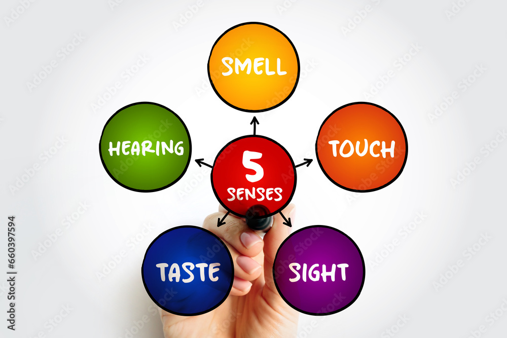 Foto de Five basic human senses: touch, sight, hearing, smell and taste ...