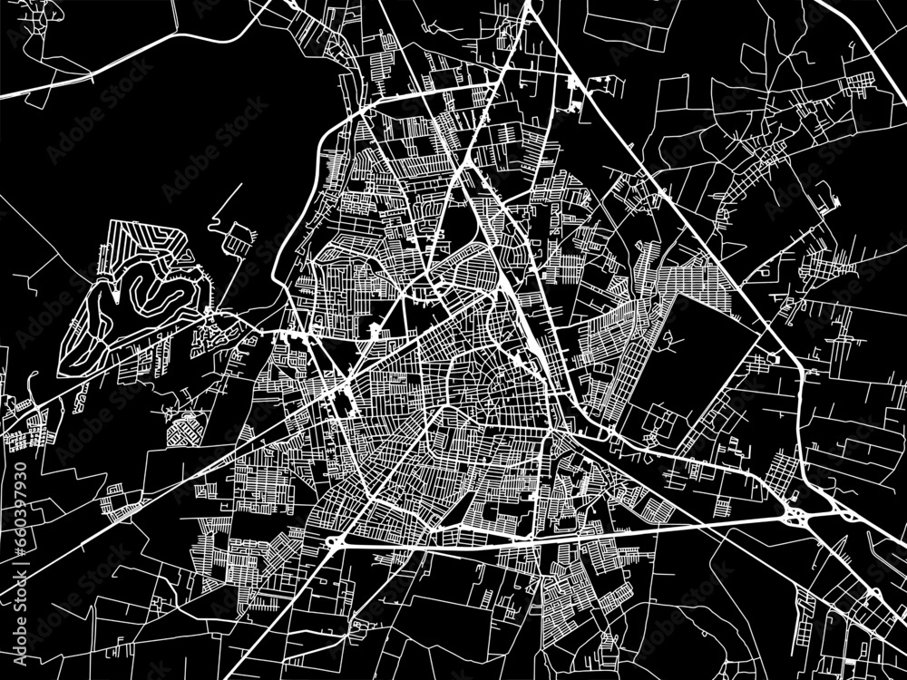 Vector road map of the city of Irapuato in Mexico with white roads on a ...