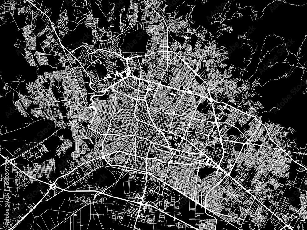 Vector road map of the city of Leon de los Aldama in Mexico with white ...
