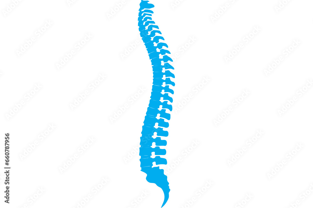 Digital png illustration of blue human spine on transparent background ...