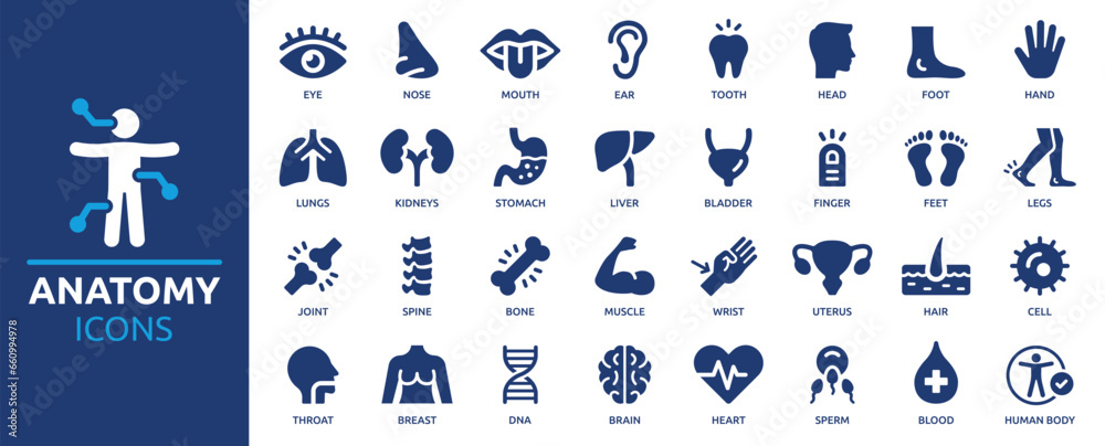 Anatomy icon set. Containing eye, nose, mouth, ear, brain, head, hand ...