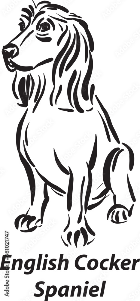 black and white dogs English Cocker Spaniel Longhair breed design line ...