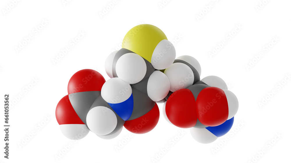 glutathione molecule, antioxidant, molecular structure, isolated 3d ...