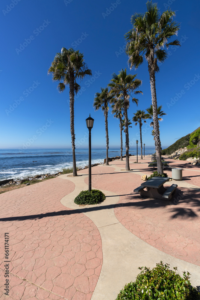 Royal Palms at Whites Point Beach Park near San Pedro in Los Angeles ...