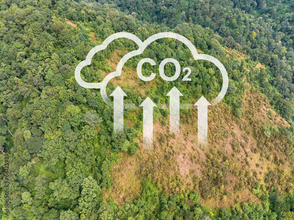 The biggest cause of forest loss is agricultural deforestation ...