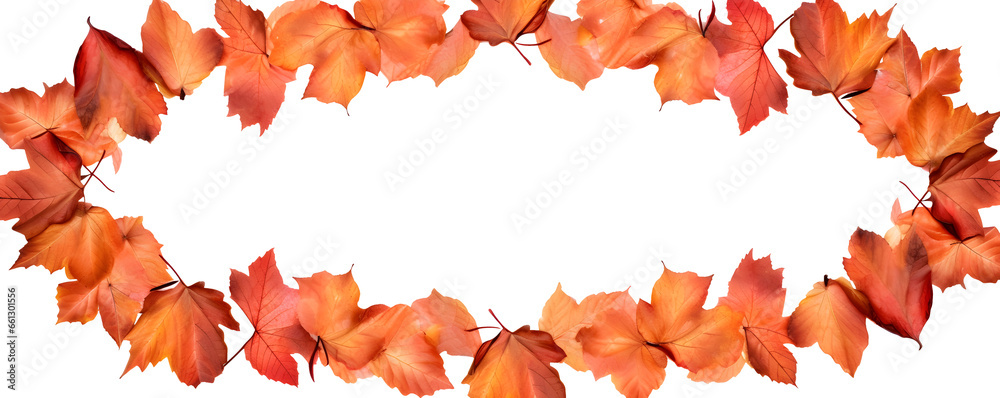 orange autumn leaves border frame isolated on transparent background ...