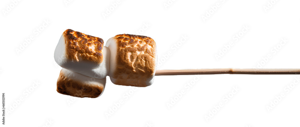 Toasted delicious Marshmallow on a stick. Side view. Isolated on ...