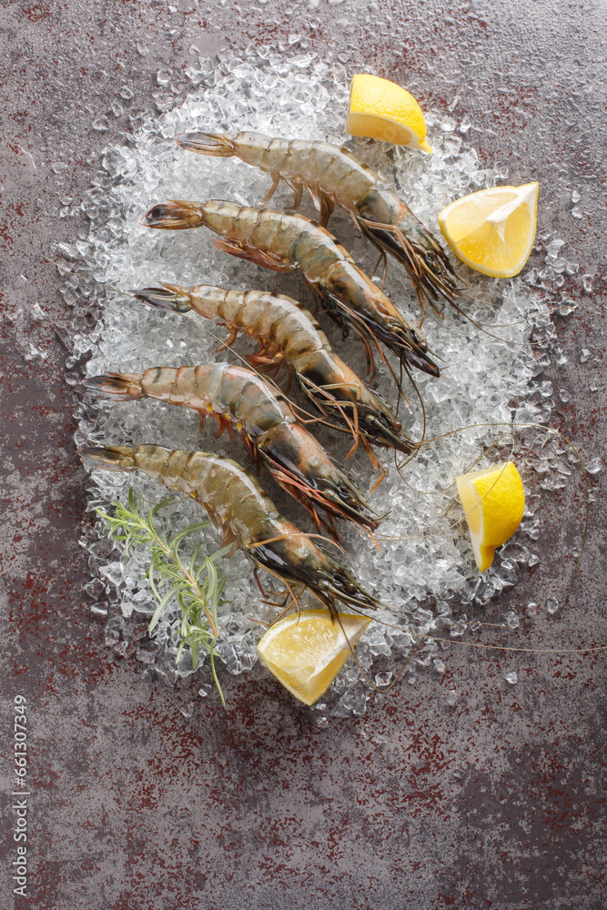 Raw ocean black tiger prawns unpeeled with lemon, herbs closeup on the ...