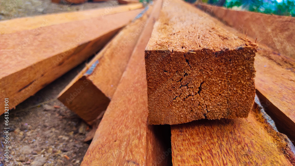 Selective focus stack of coconut wood with texture of coconut tree wood ...