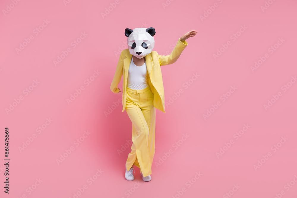 Full size photo of overjoyed 3d panda mask elegant girl have good mood ...