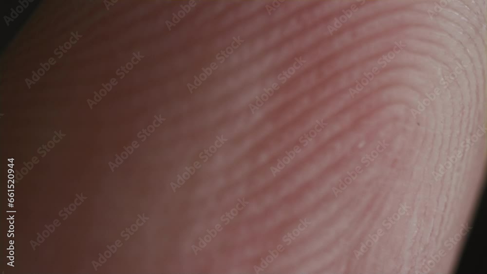 Macro shot of human fingerprints. The structure of the finger surface ...