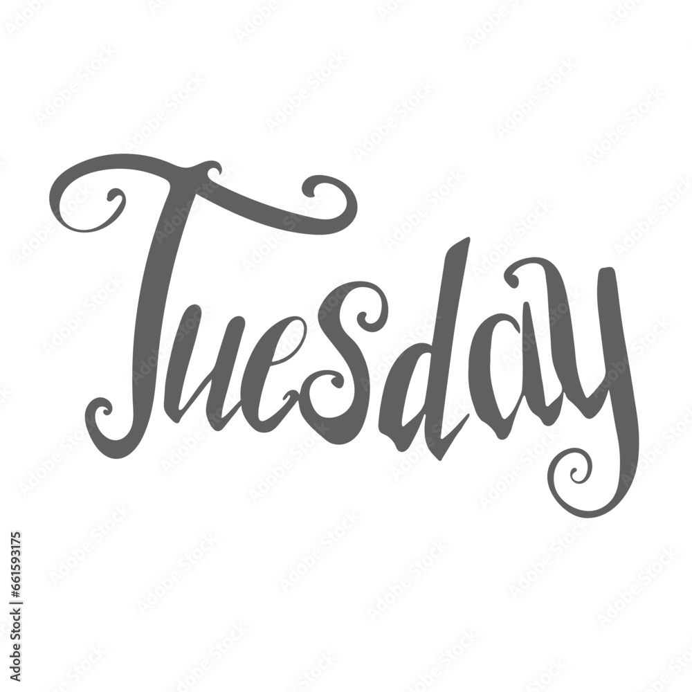 Tuesday words. Hand drawing ink lettering. Modern brush calligraphy ...