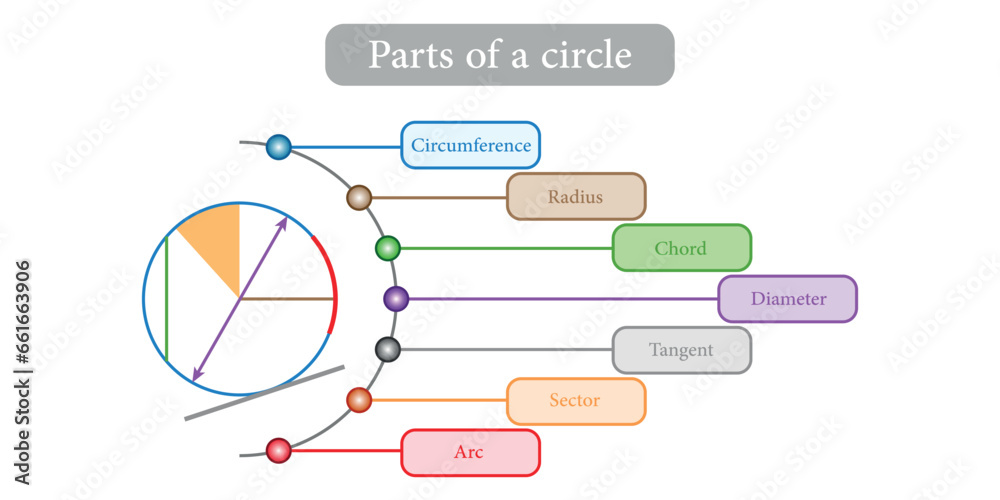 Parts of circle. Circles for kids. Radius, Diameter, Circumference ...