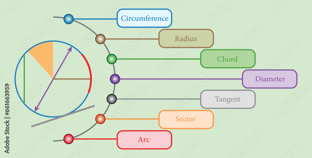 Parts of circle. Circles for kids. Radius, Diameter, Circumference ...