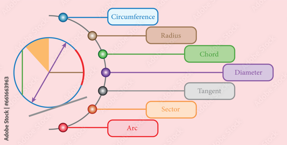 Parts of circle. Circles for kids. Radius, Diameter, Circumference ...