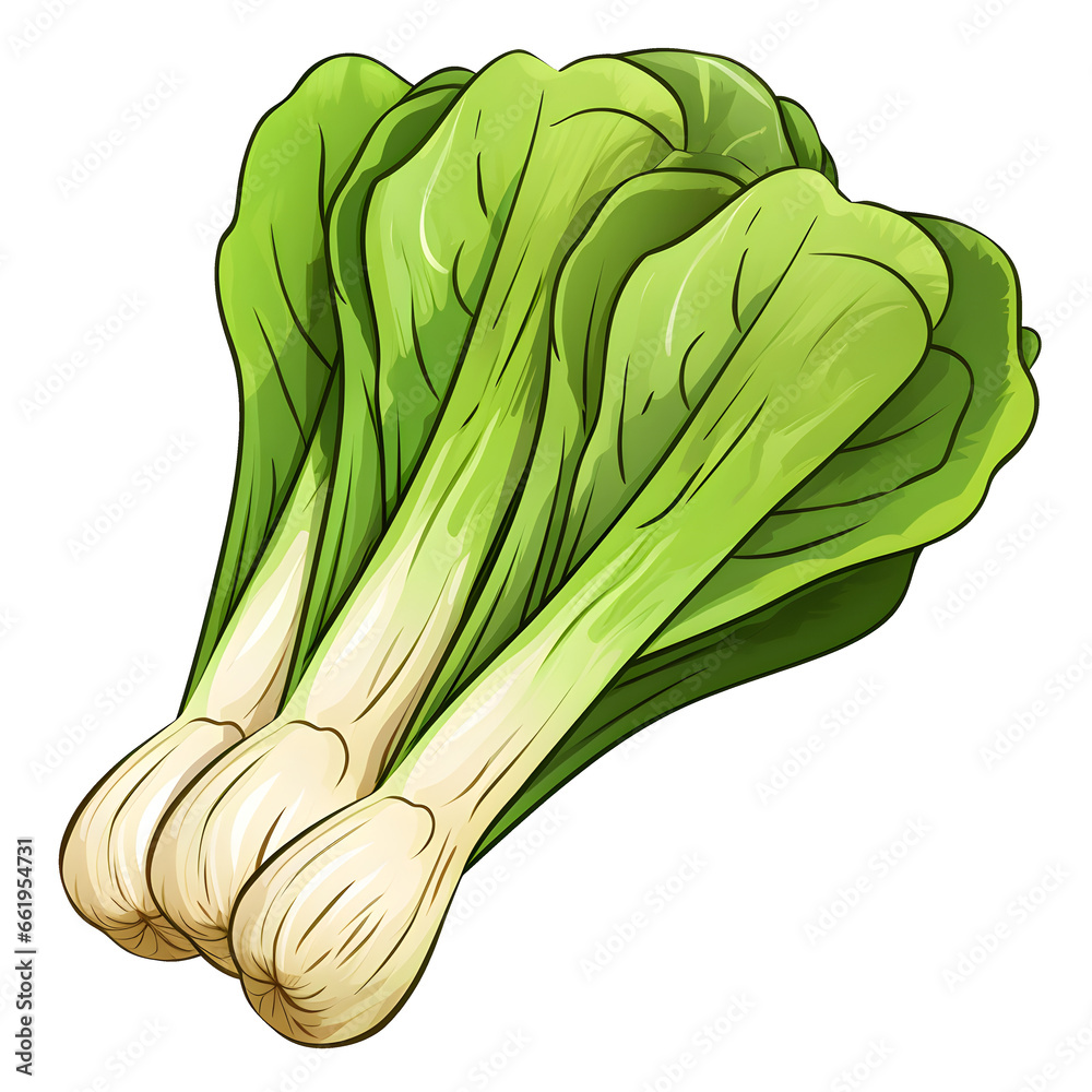 cartoon clipart of Bok Choy, food clipart, vegetables clipart ...
