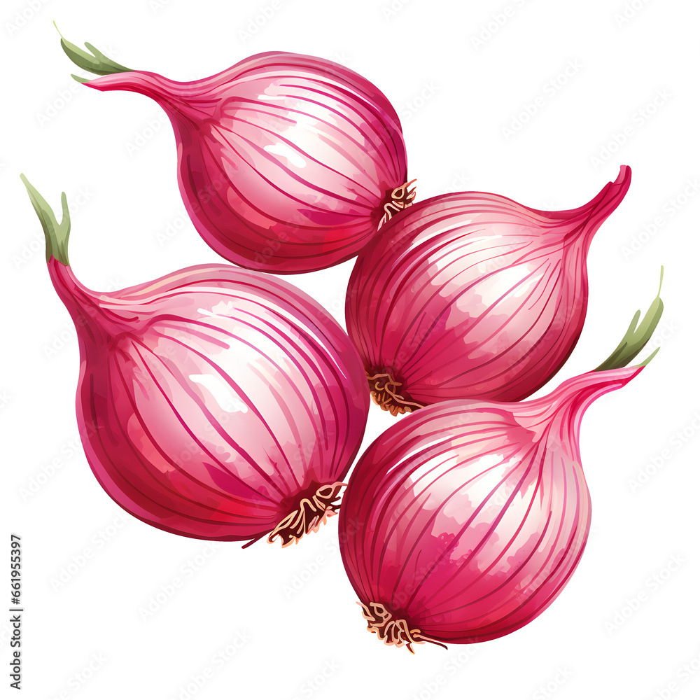 cartoon clipart of Red Onions, food clipart, vegetables clipart ...