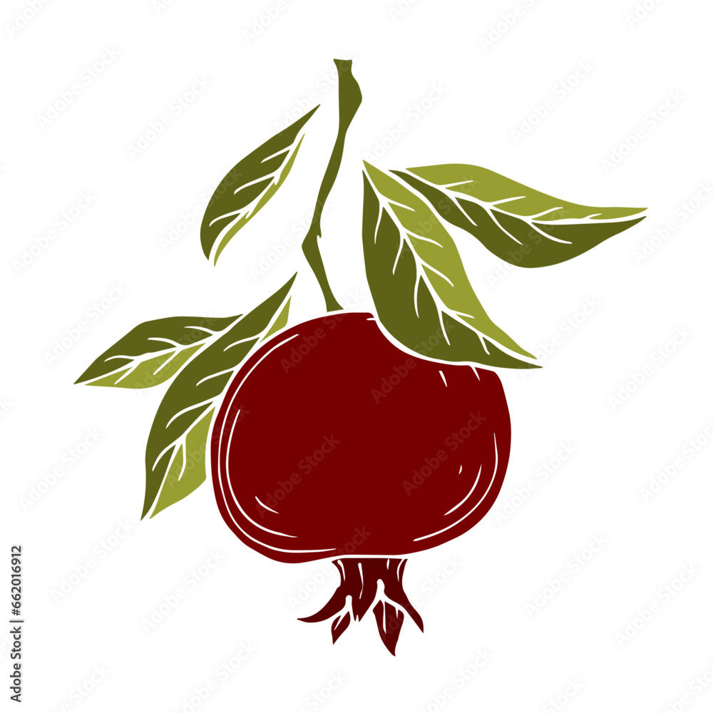 Branches of a pomegranate tree with ripe fruits. Vector graphics. Stock ...