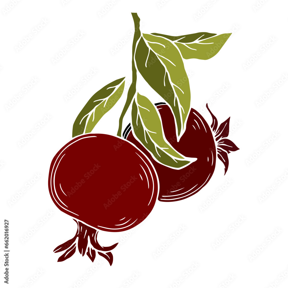 Branches of a pomegranate tree with ripe fruits. Vector graphics. Stock ...