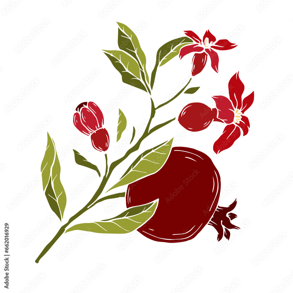 Branches of a pomegranate tree with ripe fruits. Vector graphics. Stock ...