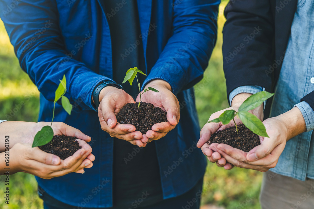 Environmental Collaboration in green business people conserve the green ...