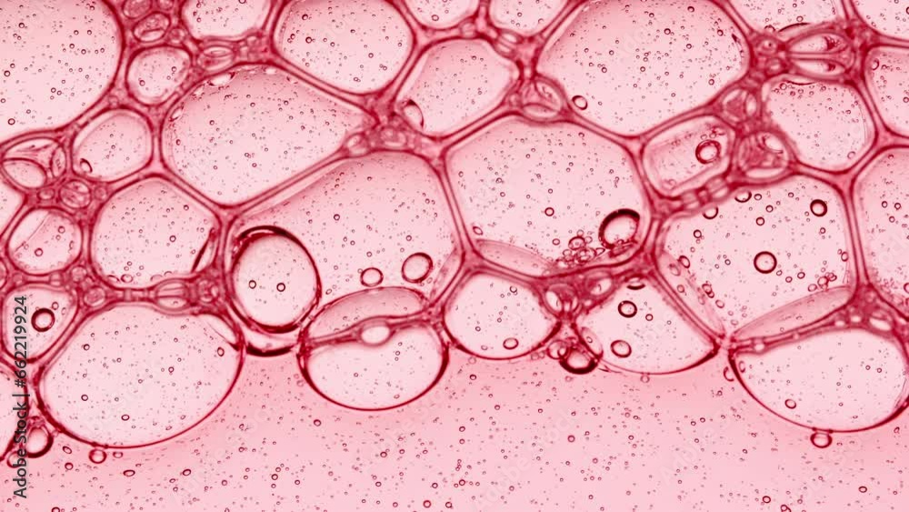 Vidéo Stock Bubble cluster, cells under a microscope. Transparent ...
