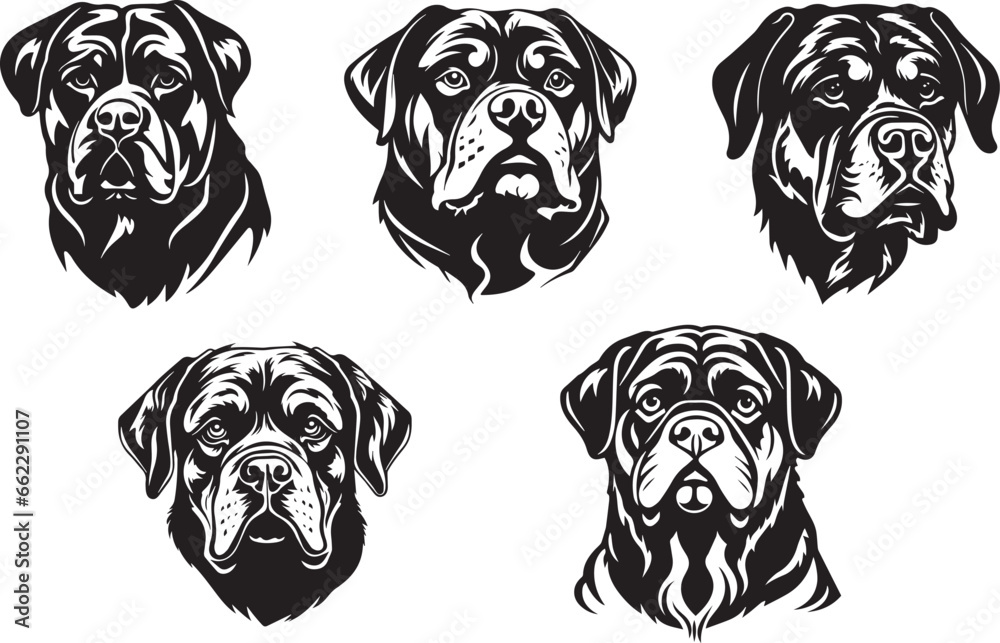 Rottweiler dog breed pet. Rottweiler set of dog big head Vector ...