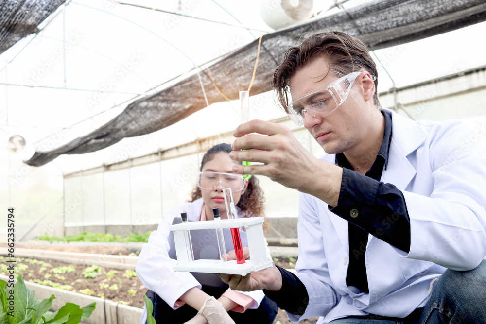 Botanist scientist woman and man in white lab coat work together on ...